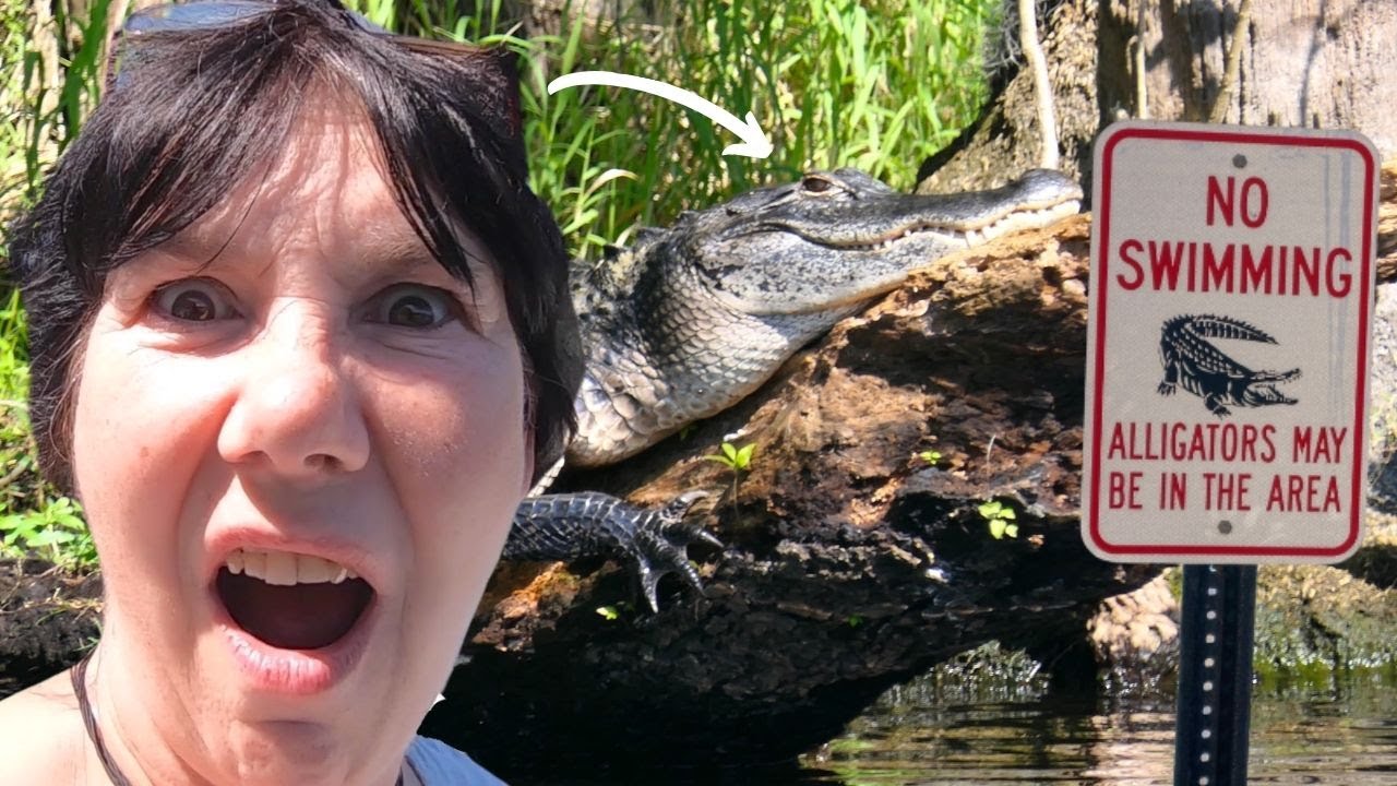VAN LIFE FLORIDA - WOULD YOU SWIM HERE ?? [S7-E9] - YouTube