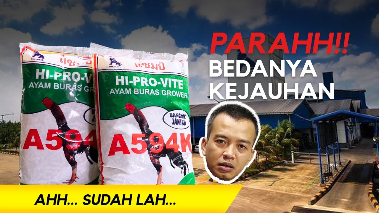 ASLI INI PARAH !! GAK PALSU tapi protein bisa jauh gitu. A594K produk ...