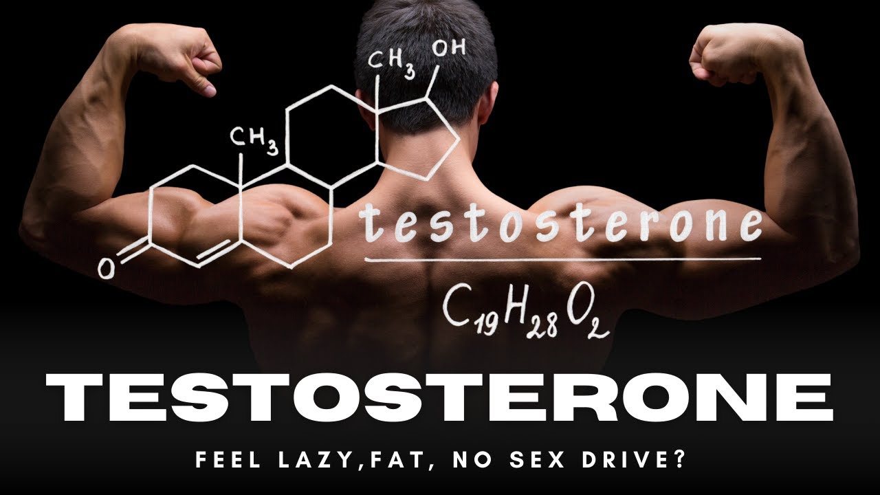 What Happens When Testosterone Levels Decline In Men Over 30 - YouTube