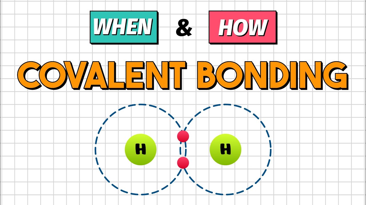 When and How Does a Covalent Bond Forms? | Basic of Chemical Bonding ...