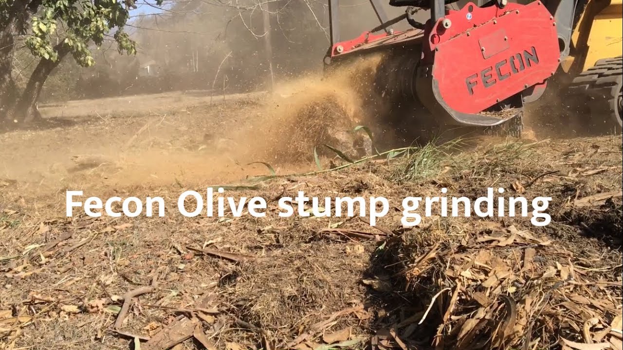 Fecon Grinding Olive tree Stump - YouTube