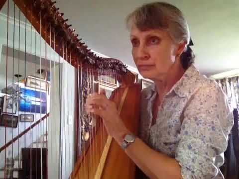 The lovely and wistful "Lilac Flower", composed by Nurit Hirsch, played ...