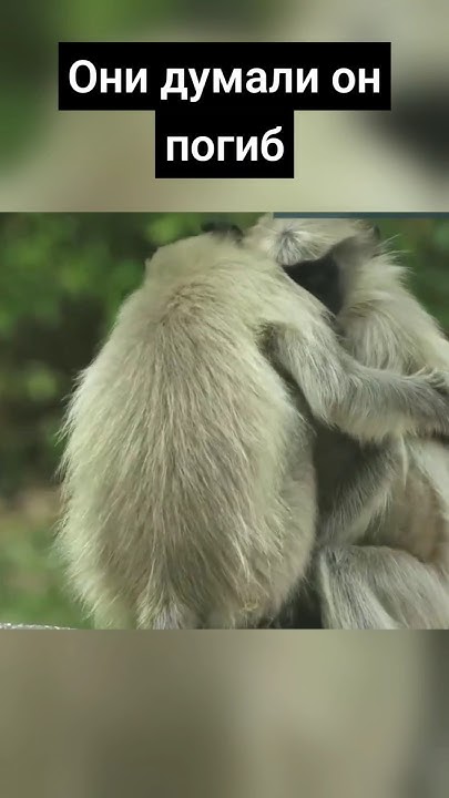 в последний путь. - YouTube