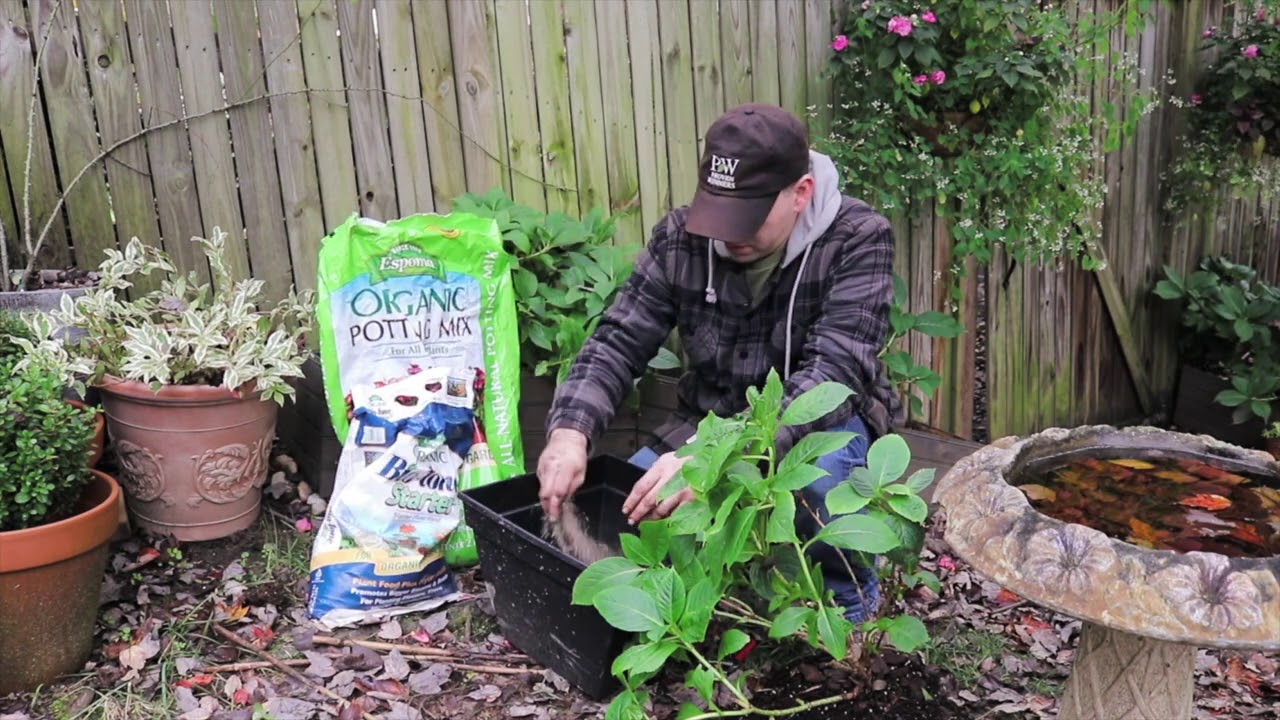 Fall Garden Clean Up - YouTube