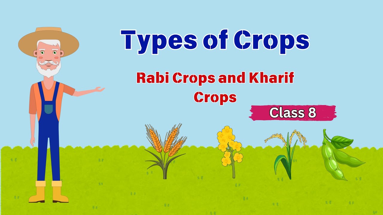 Types of Crops | Major Crops | Crop Production | Class 8 Science # ...