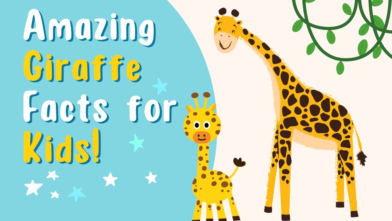 Amazing Giraffe Facts for Kids | Giraffe Facts - YouTube