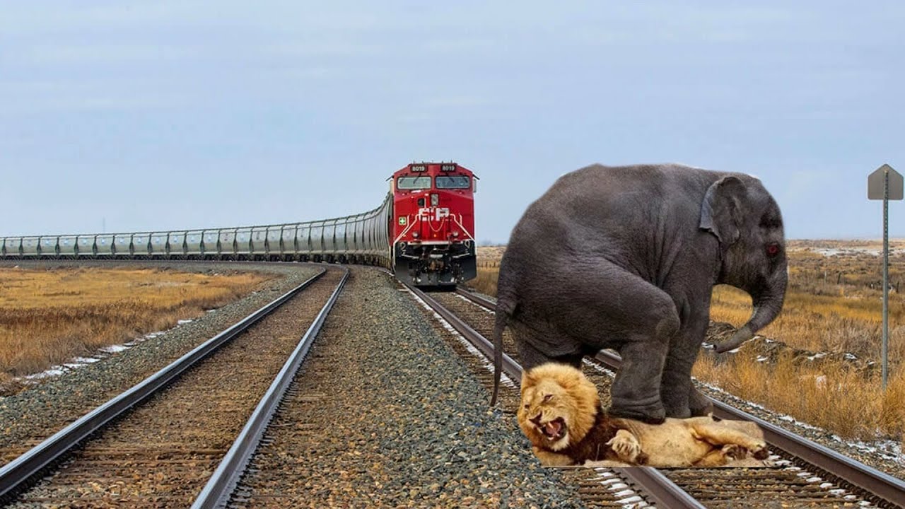 NEW VFX INVISIBLE TRAIN FUNNY VIRAL TENDER VIDEO - YouTube