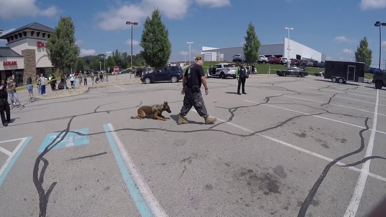 Police K9 Demonstration 2019 - YouTube