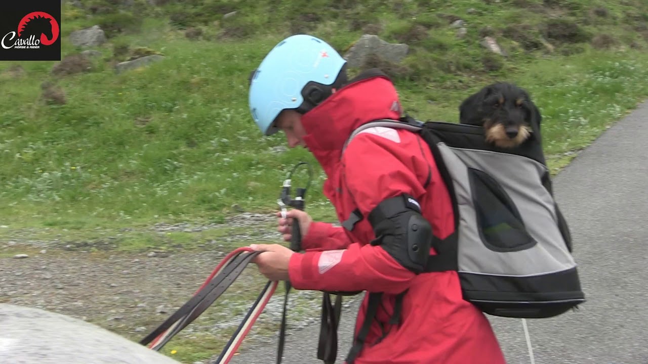 Emma Massingale, beautiful ponies, and Cavallo Hoof Boots = MAGIC ...