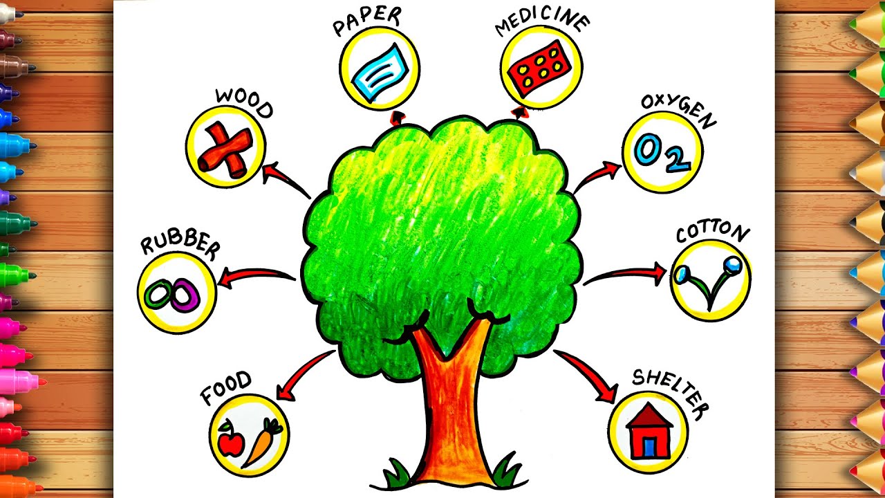 Importance of Trees Drawing | Things We Get From Trees Drawing | World ...