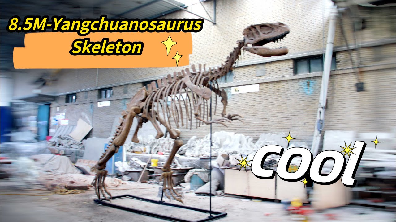 Yangchuanosaurus Skeleton Yangchuanosaurus Photographic Prints For