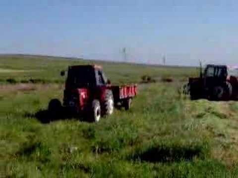 Fiat 65-46 DT is cutting the oats Tractor Video..TURKEY
