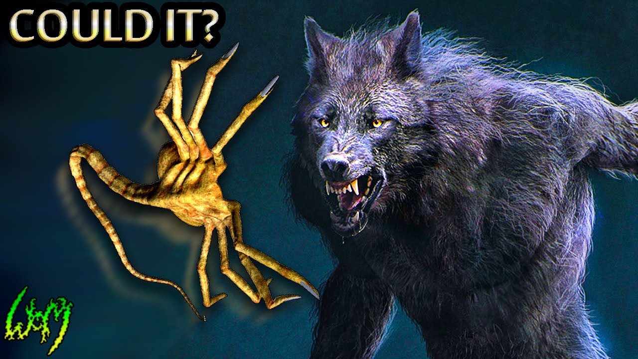 Could a Facehugger Impregnate a Werewolf? - YouTube