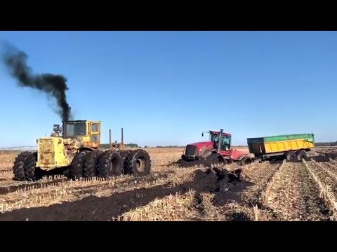 MUD 2019 | Cat TRIPLE WHEELS in FRANCE with QUADTRAC STUCK 🤦🏻‍♂️ - YouTube
