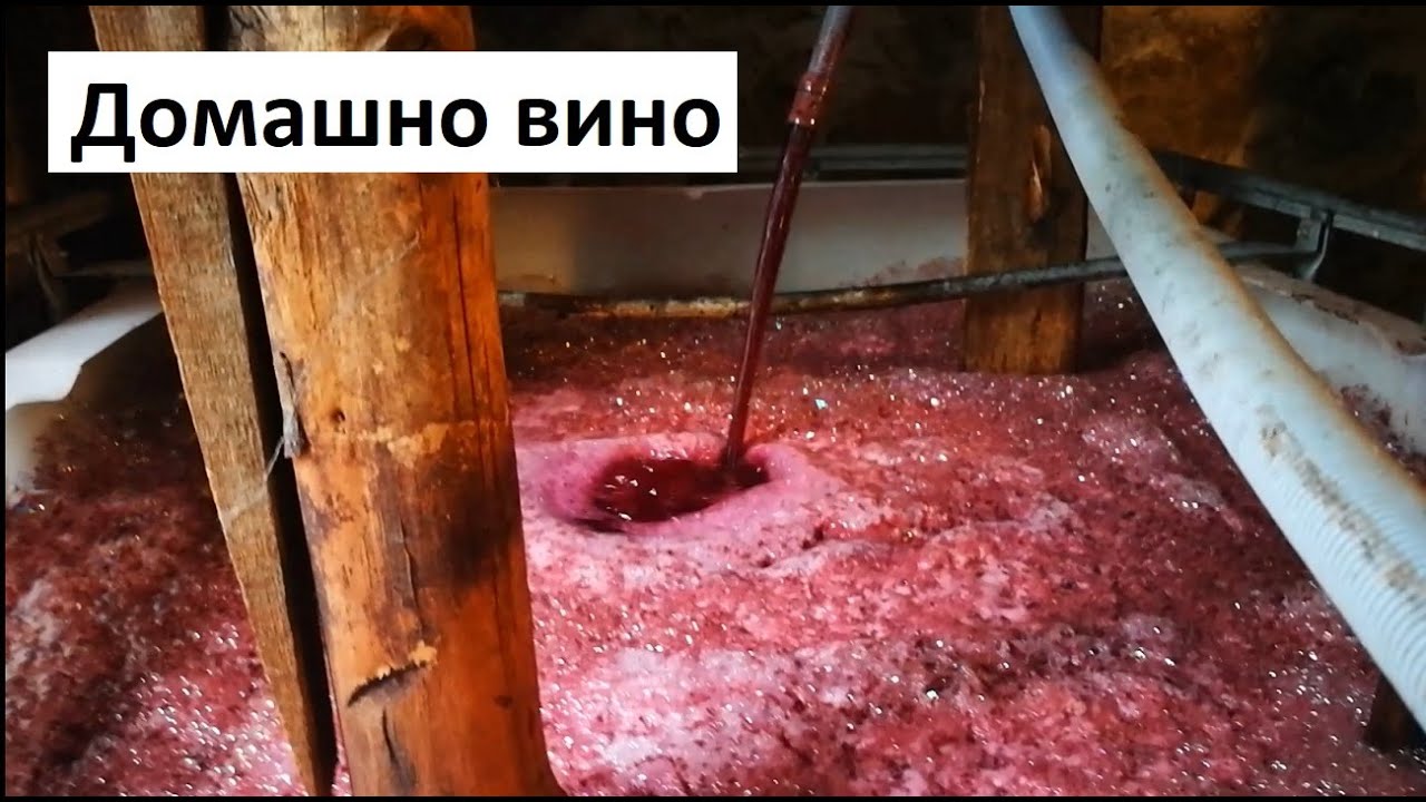 Как се прави домашно червено вино и Гроздобер Youtube