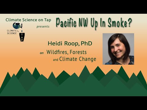 Wildfires, Forests, and Climate Change: Heidi A. Roop - YouTube