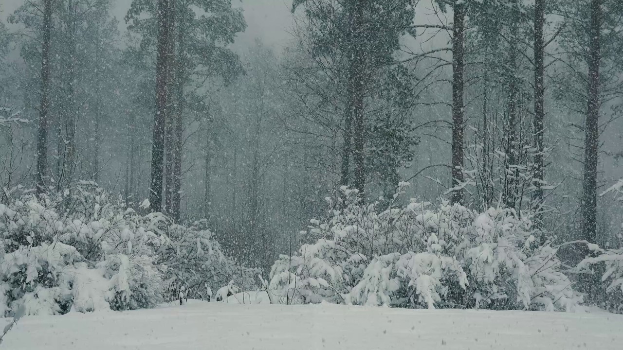 Beautiful Snow Fall + Most relaxing music - 2 hours (Full HD video ...