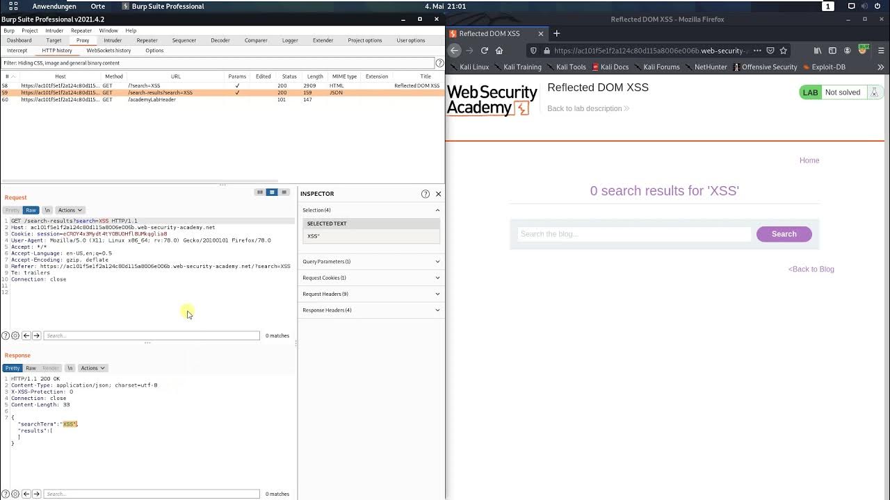 Reflected DOM XSS (Video solution, Audio) - YouTube