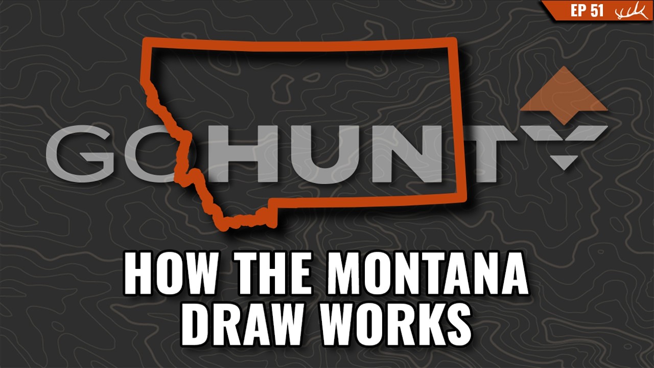 How the Montana Big Game Draw Works - YouTube