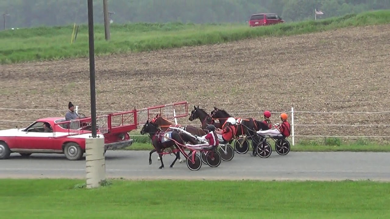 May 29th, 2020, Nappanee Raceway SR Amazie Girl wins - YouTube