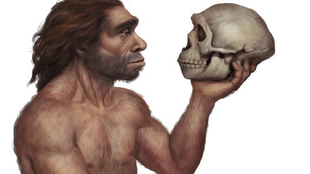 What happened to the Neanderthals? - YouTube