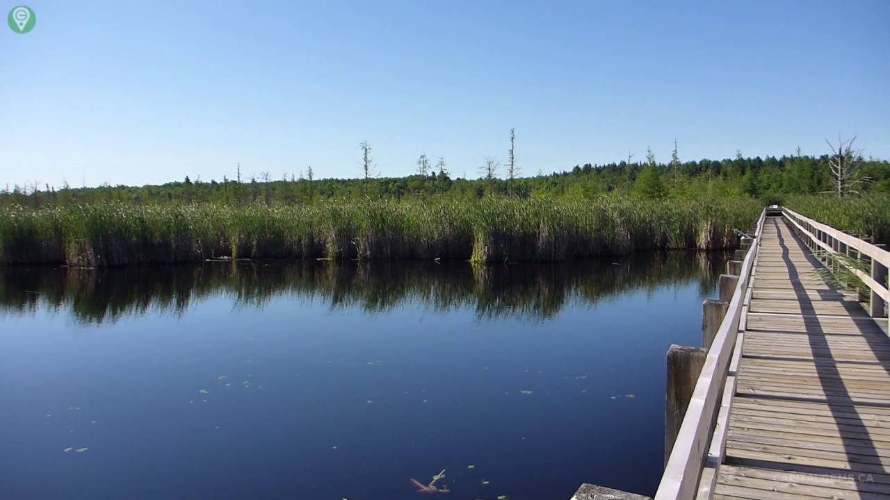 Mer Bleue Bog - CapitalGems.ca - YouTube