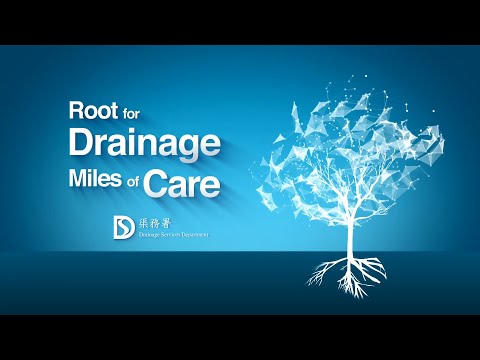 DSD Corporate Video (Long Version)