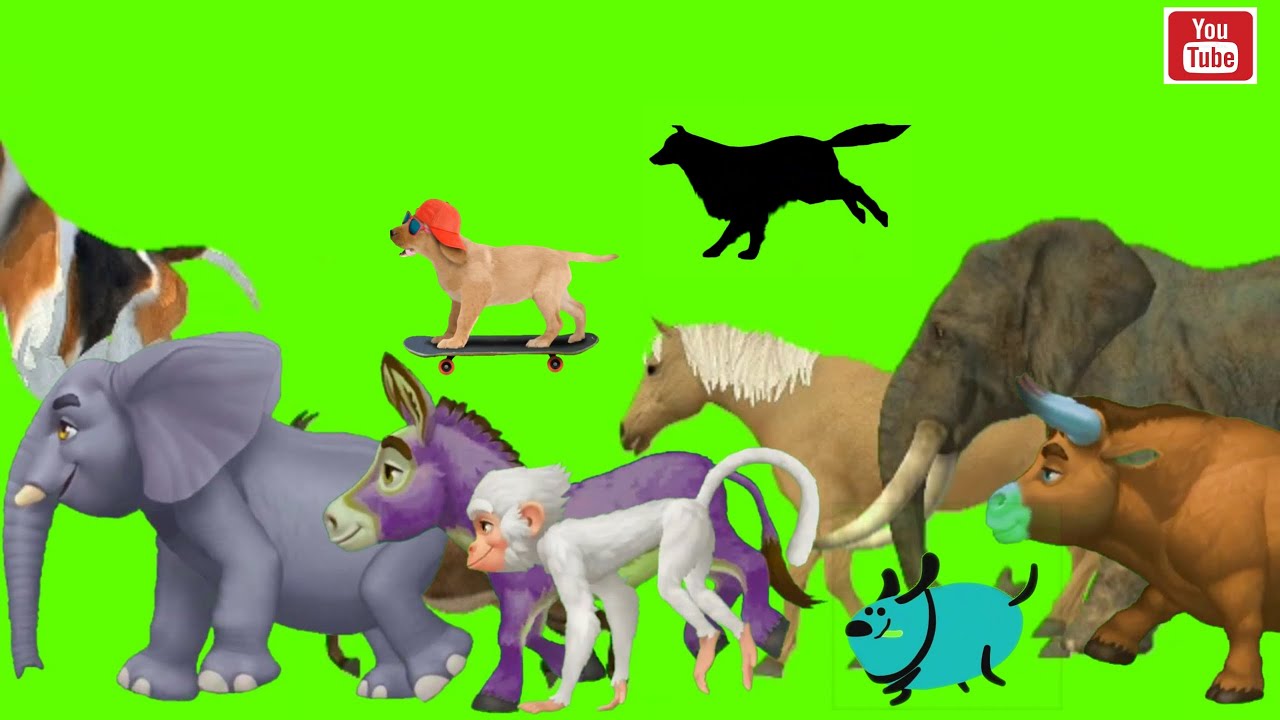 animal stampede green screen fast / green screen cartoon video # ...