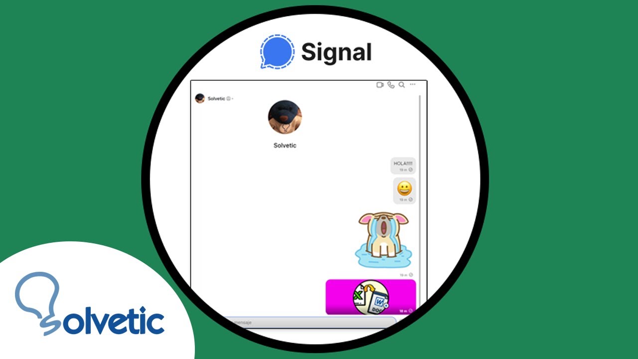 💻 Cómo USAR SIGNAL WEB - YouTube