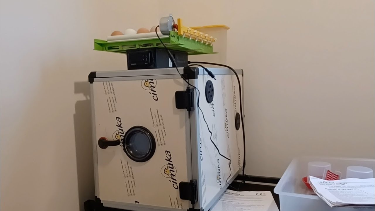 Présentation et mise en route de ma nouvelle couveuse cimuka 60!! - YouTube