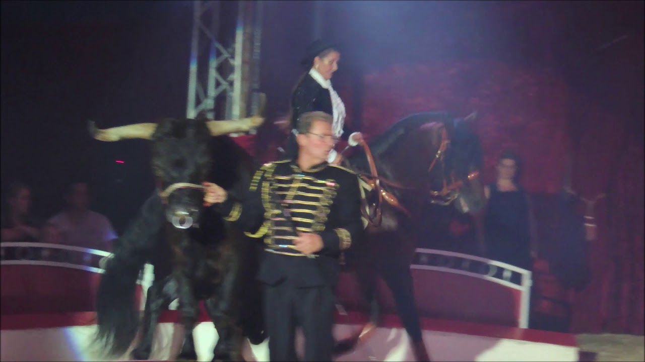 Circus Freiwald's Celebrations tour 2019 - YouTube