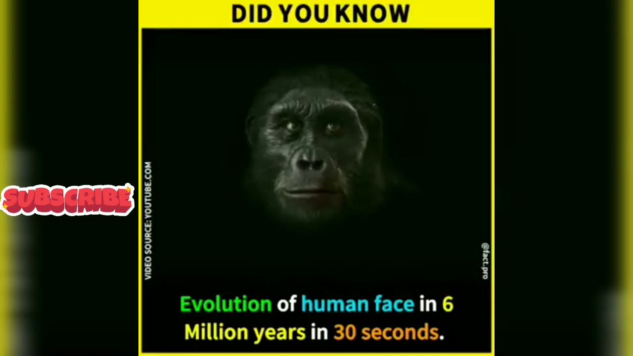 Evolution of human face!! - YouTube