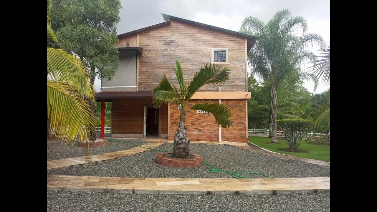 Se Vende Una Finca Productiva en República Dominicana 20290523A - YouTube