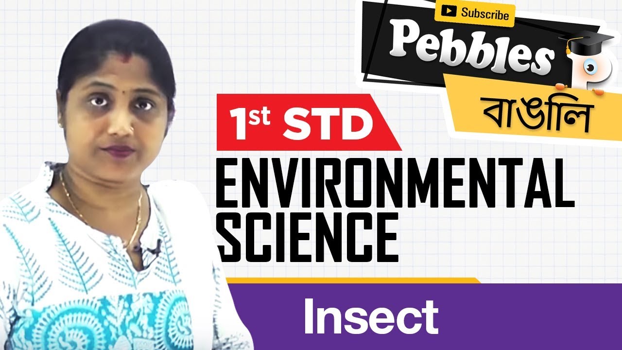 1st Std Environmental Science In Bengali Insects CH 9 1st Std Science Bengali Video 1st-std-environmental-science-in-bengali-insects-ch-9-1st-std-science-bengali-video