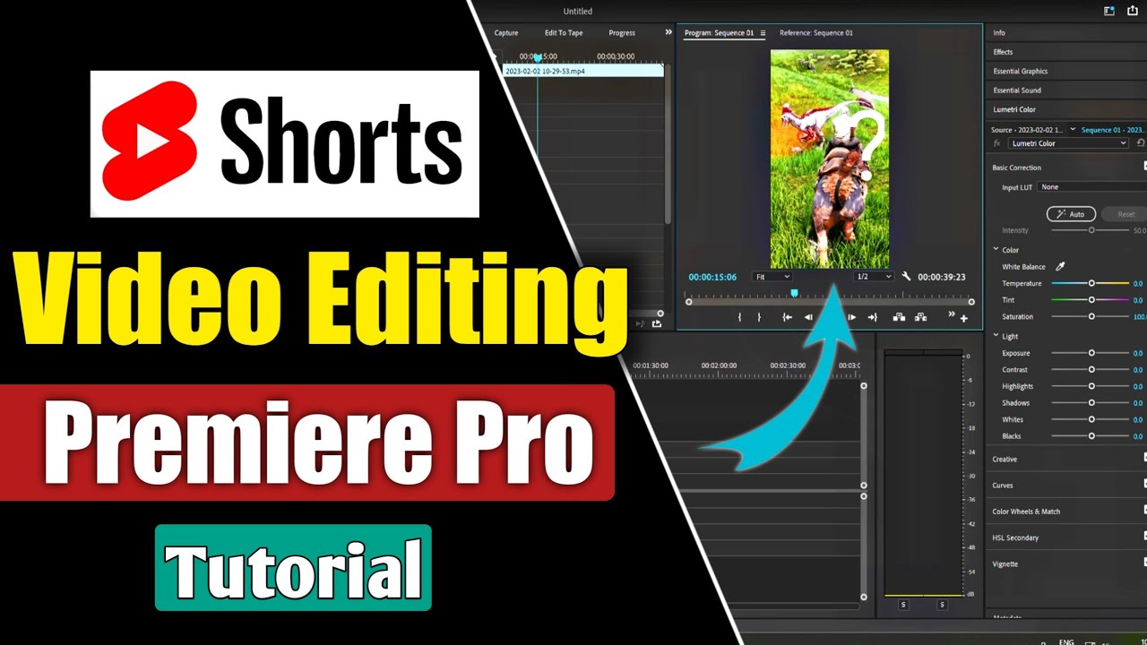 How to Edit YouTube Shorts Video in Premiere Pro (2024 Updated) - YouTube