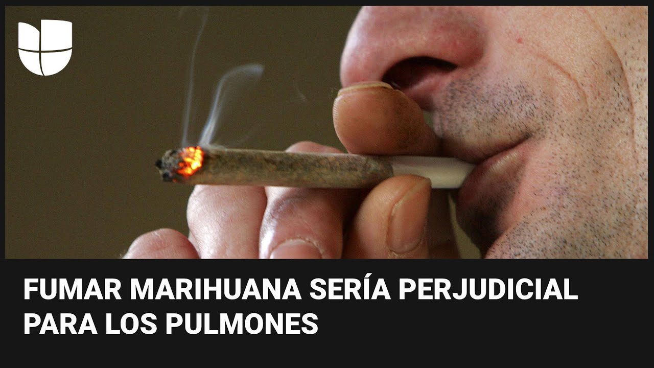 Estudio revela que fumar marihuana es más grave de lo que se piensa ...
