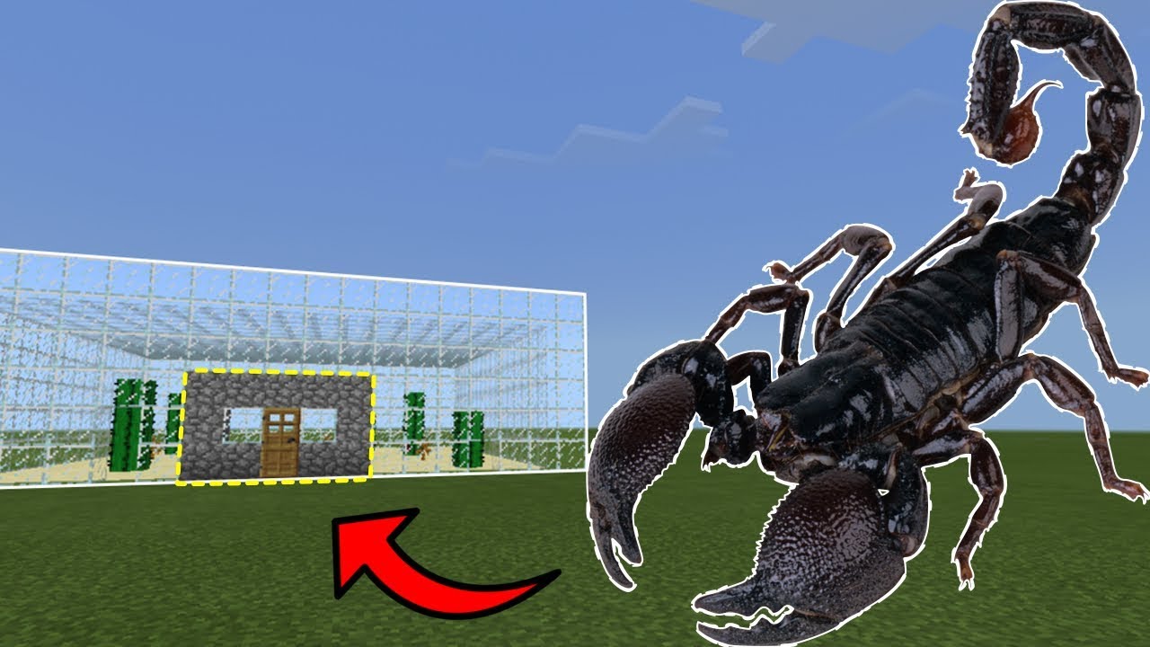 How To LIVE INSIDE a SCORPION FARM in Minecraft PE - YouTube