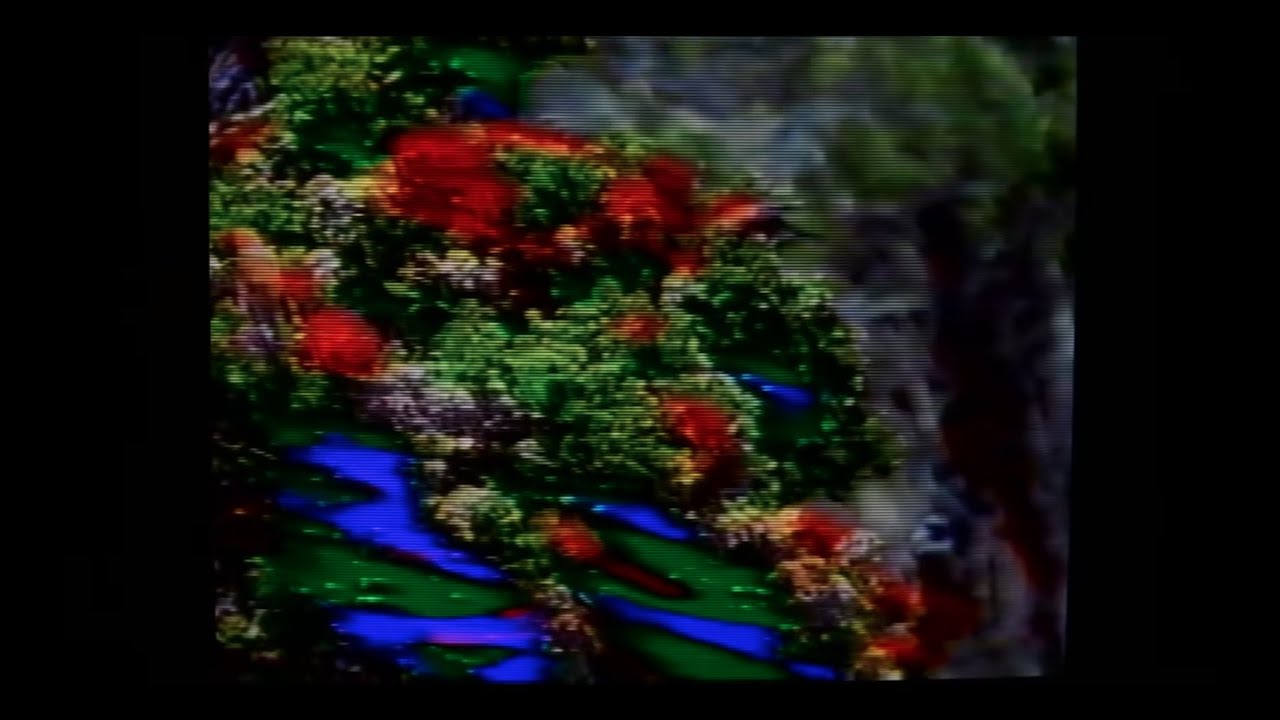 Admiral Fox - Pictures of Drones - YouTube