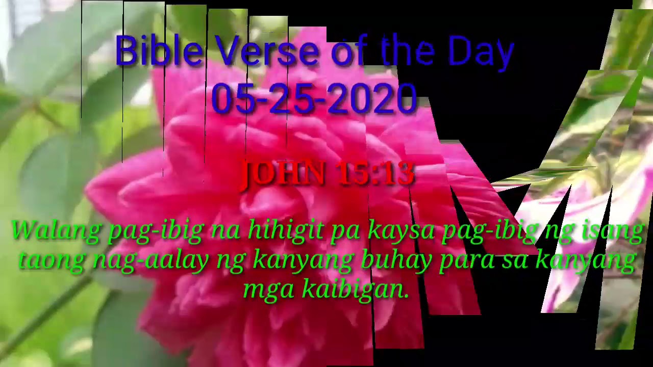 Bible Verse of the Day May 25, 2020 - YouTube