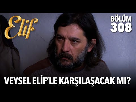 Veysel Elif ile karşılaşacak mı? | Elif 308. Bölüm