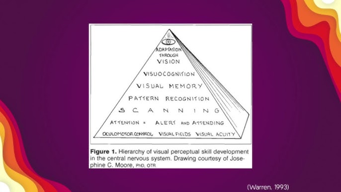 Visual Perceptual Hierarchy Visual Perceptual