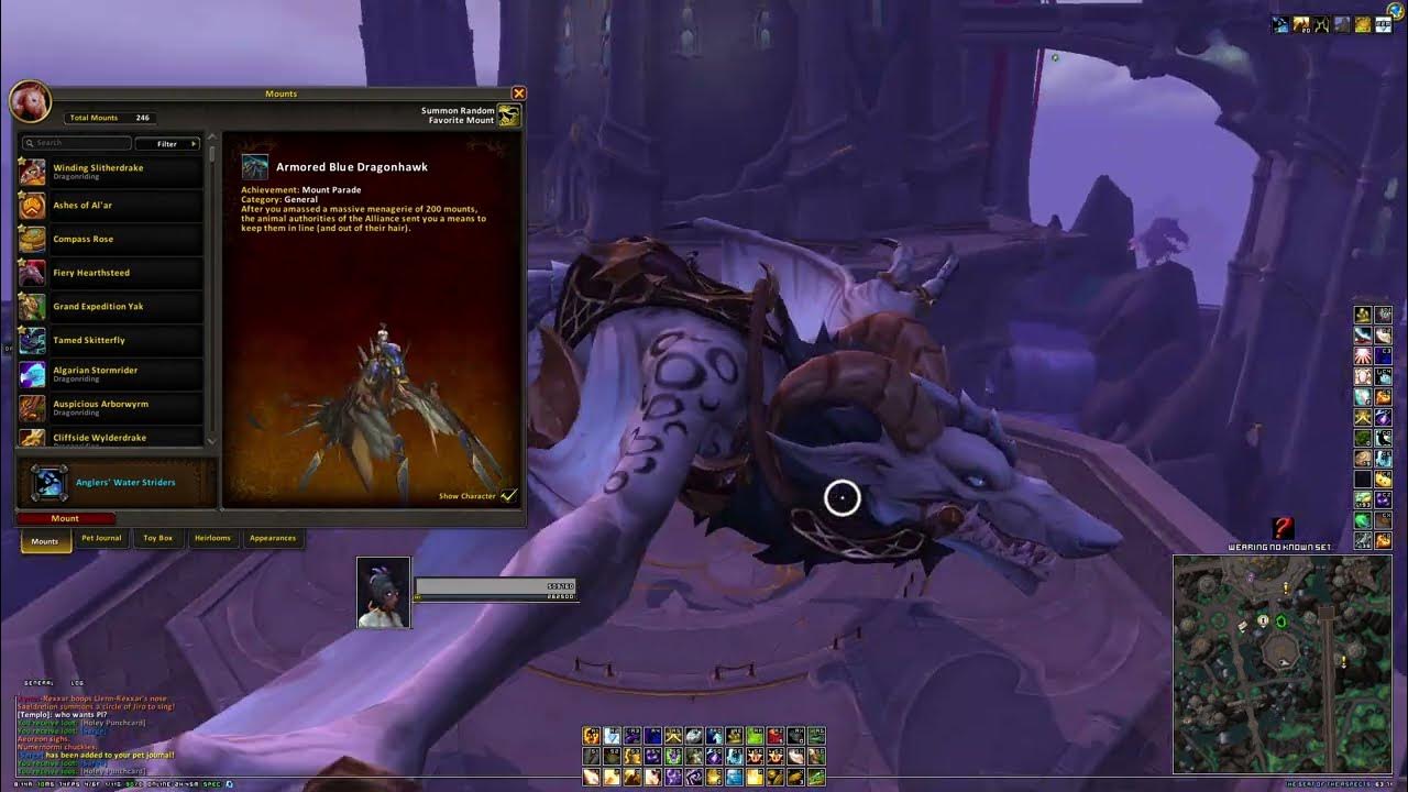 Wow hearthstone event mount bug - YouTube