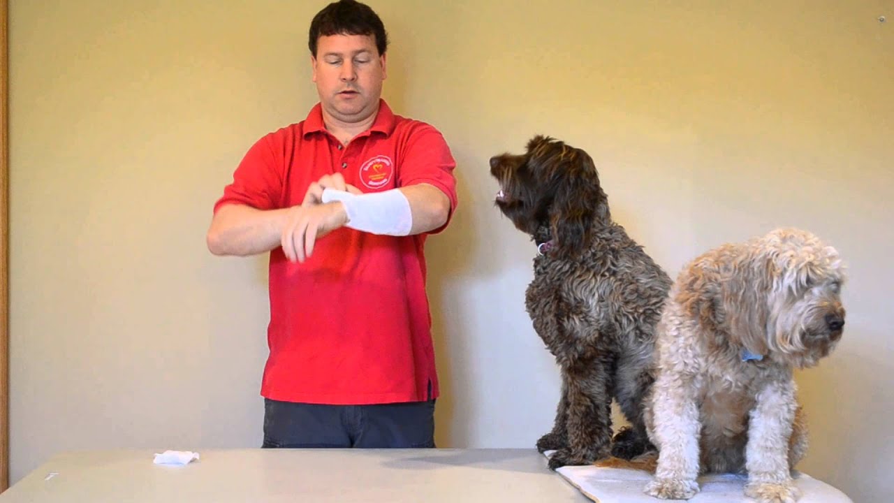 San Jose First-aid Classes: First aid bandaging bleeding practice - YouTube