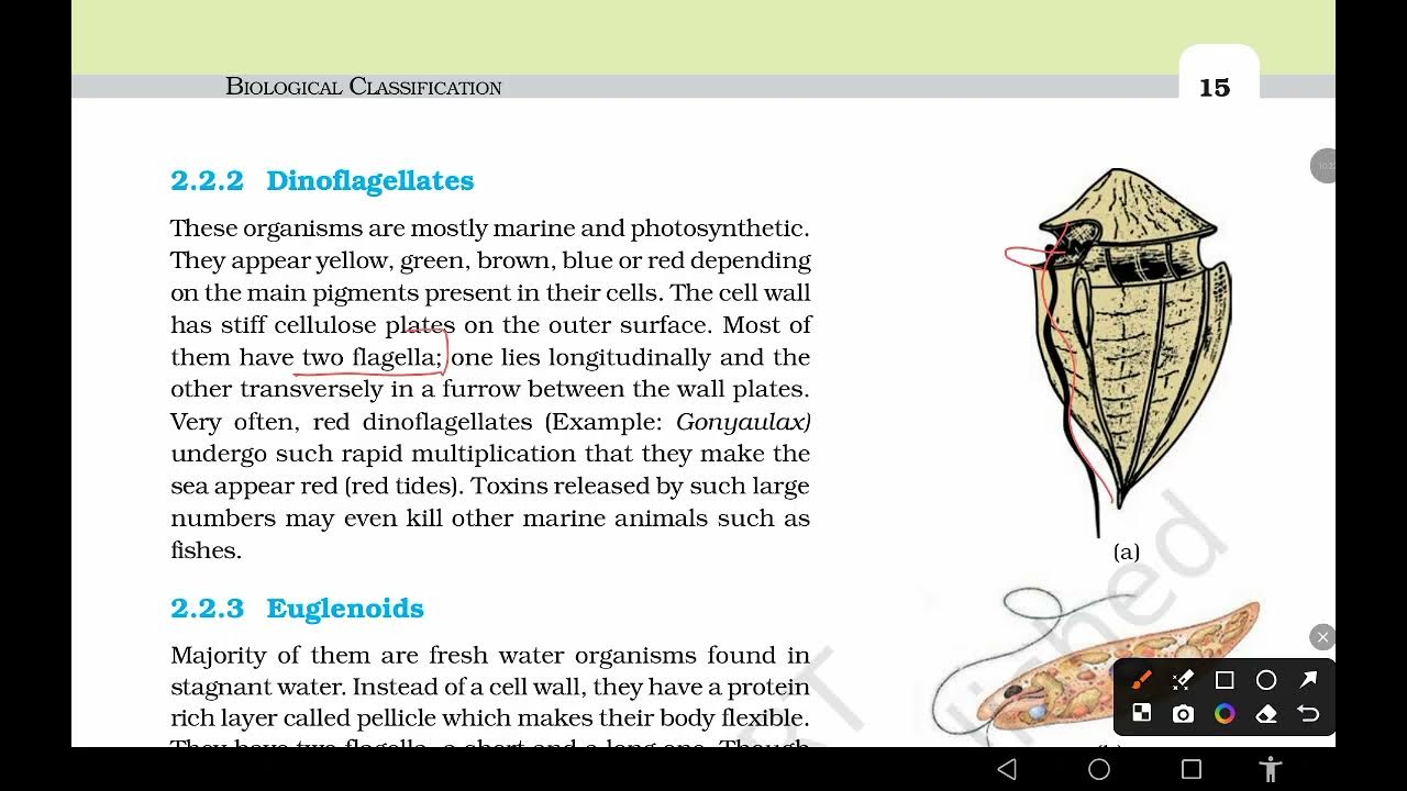11th class ncert series - 4# part 2of Biological Classification # ...
