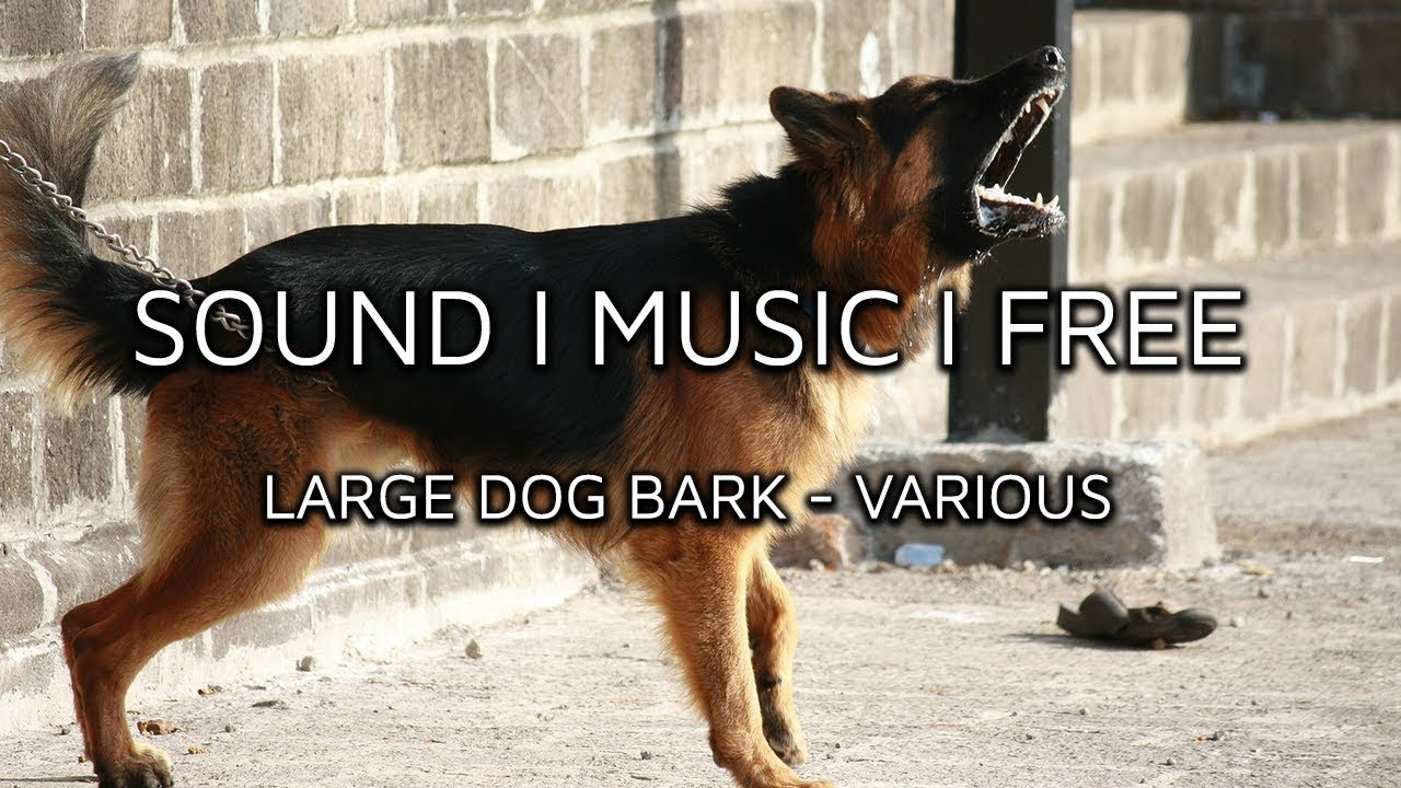 Free Pro Sound FX - Large Dog Barking (Direct Download) - YouTube