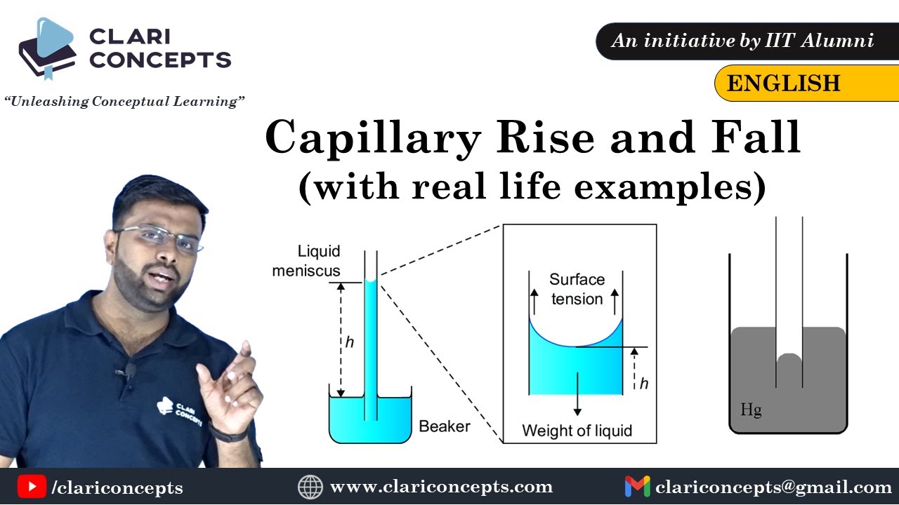 Capillary Rise and Fall explained with real life example (English ...