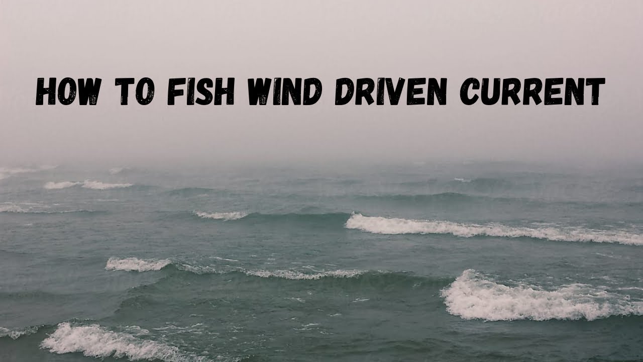 How to Fish Wind Driven Current! - YouTube