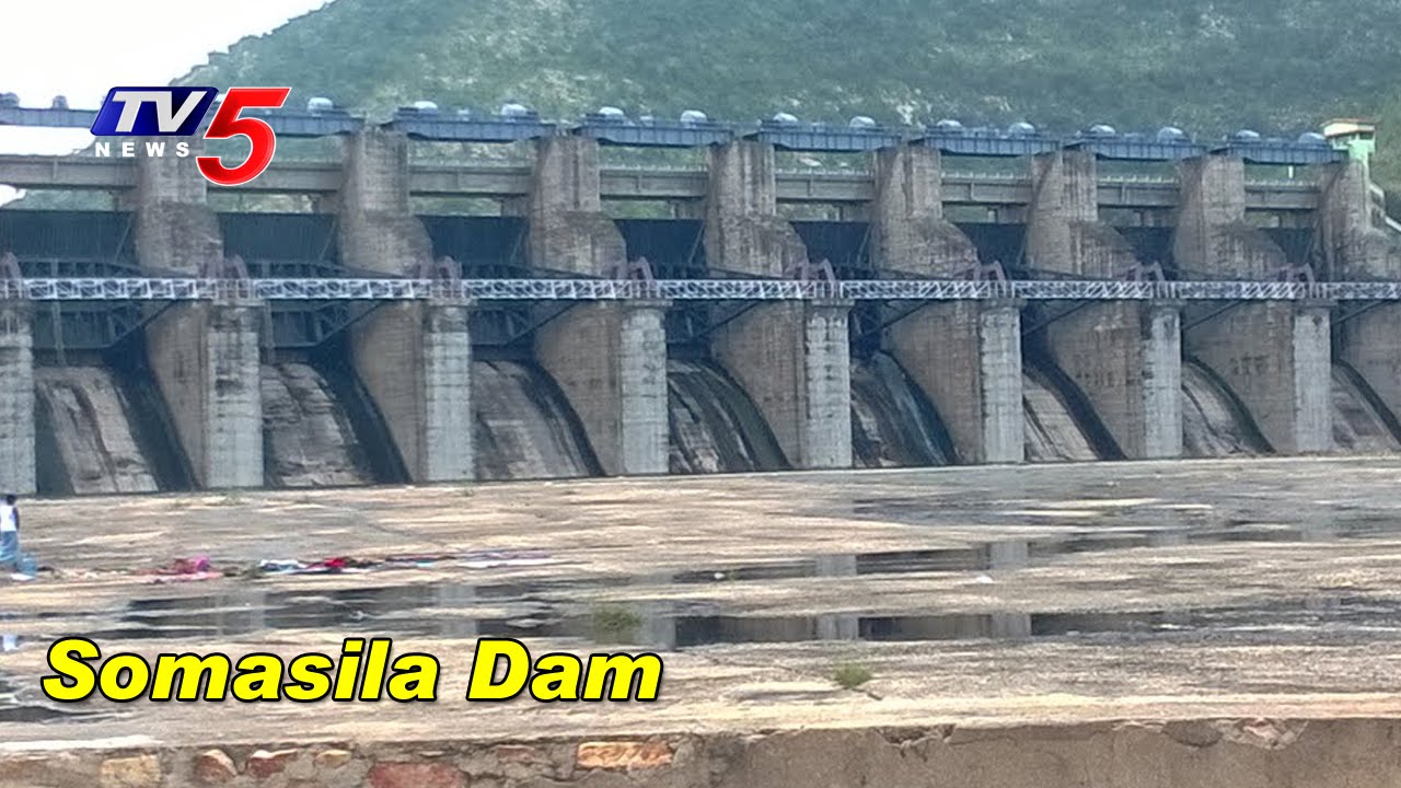 Somasila Dam Reaches Dead Storage Level | TV5 Ground Report | Nellore ...