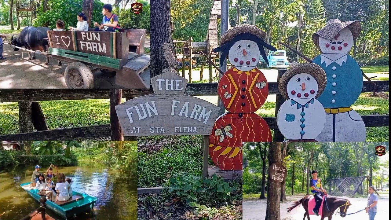 THE FUN FARM l Sta Elena Cabuyao Laguna - YouTube