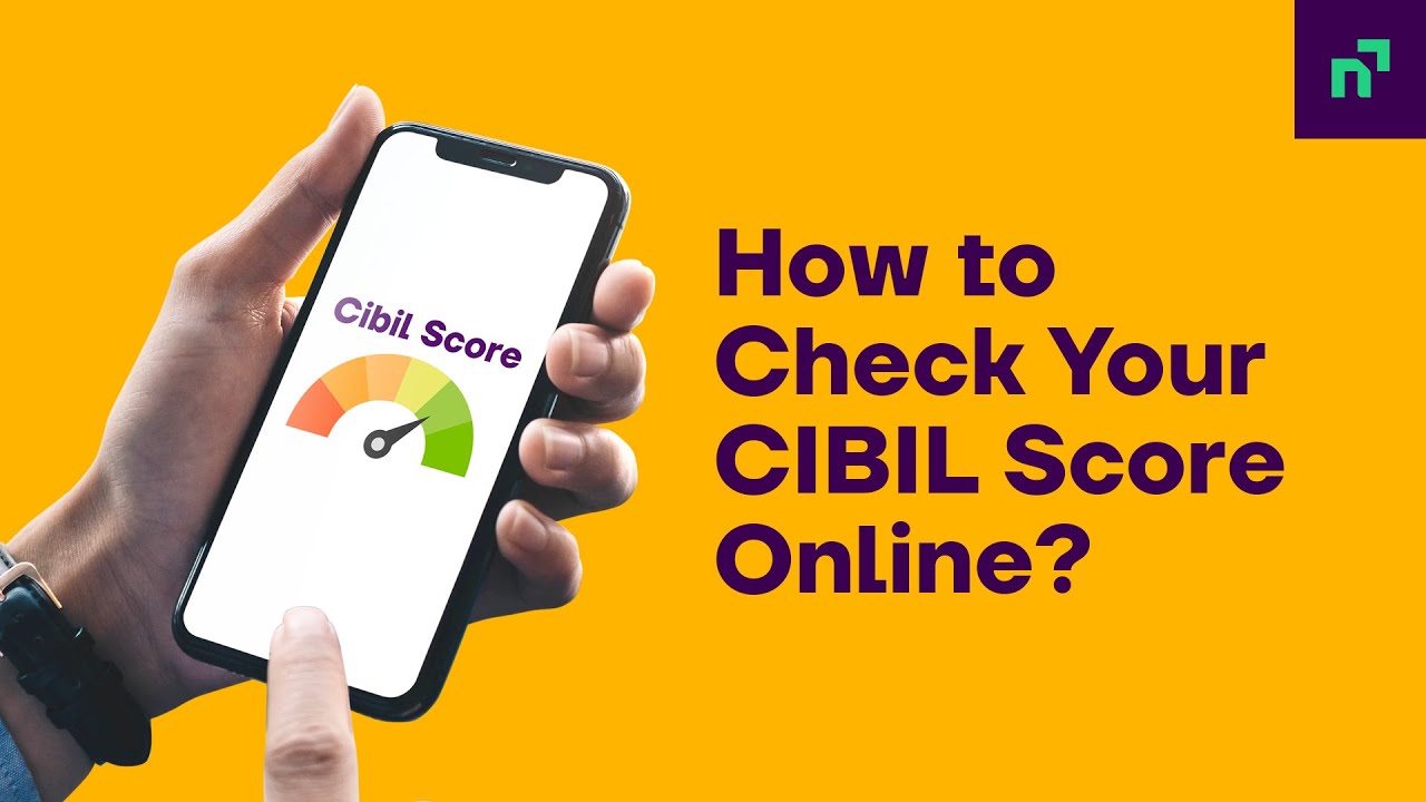How to Check Your CIBIL Score Online? | NAVI - YouTube